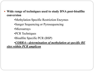 Combined bisulfite restriction analysis (cobra) bisulfite polymerase chain reaction. | PPTX