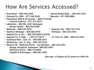 An Overview - Michigan's Publicly Funded Mental Health, Substance Abuse ...