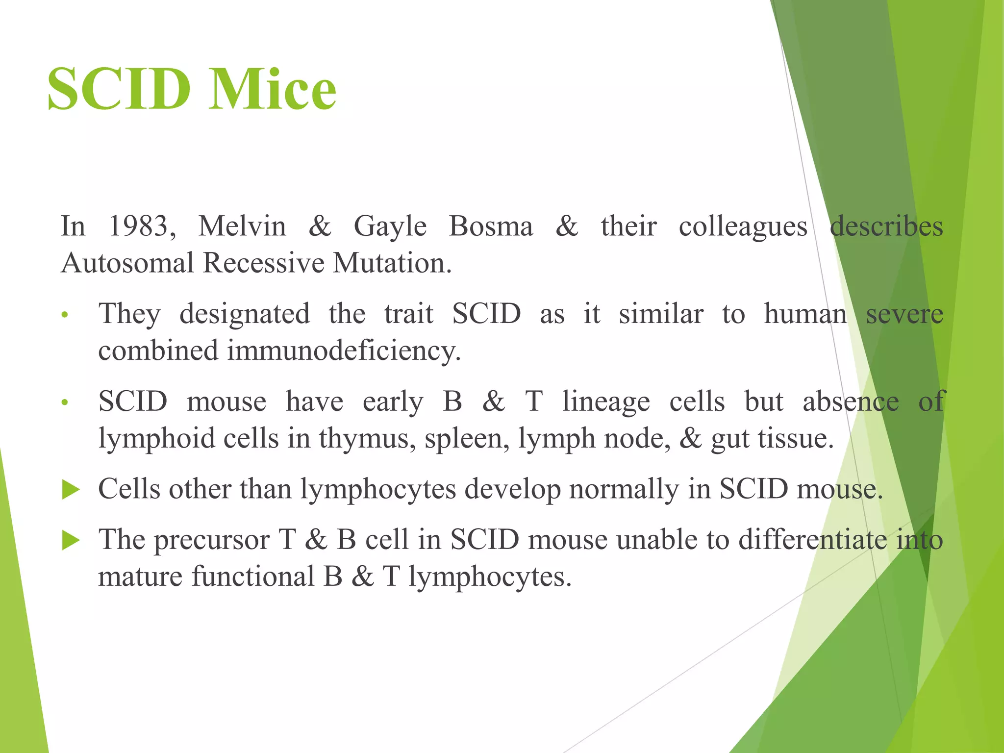 Combined immunodeficiencies (SCID).ppt. | PPTX