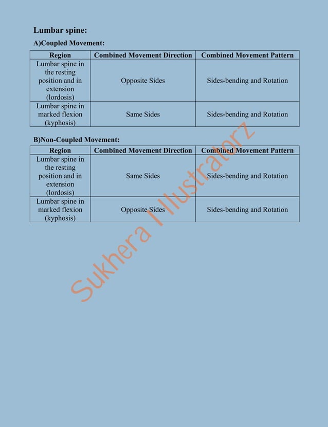 Combined movement patterns in the spine by muhammad arslan yasin ...
