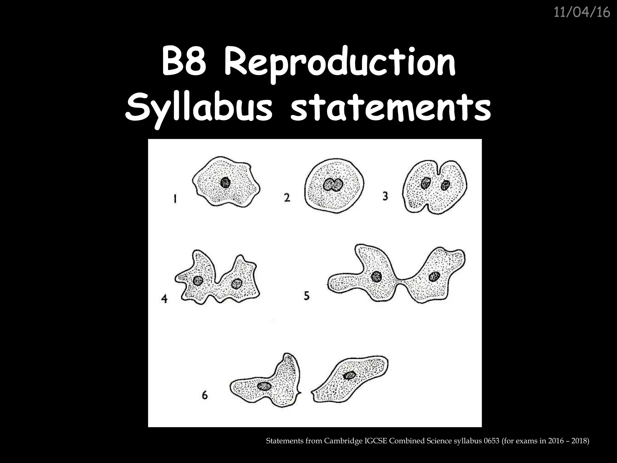 Combined sci b8 syllabus | PPT