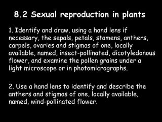 Combined sci b8 syllabus | PPT