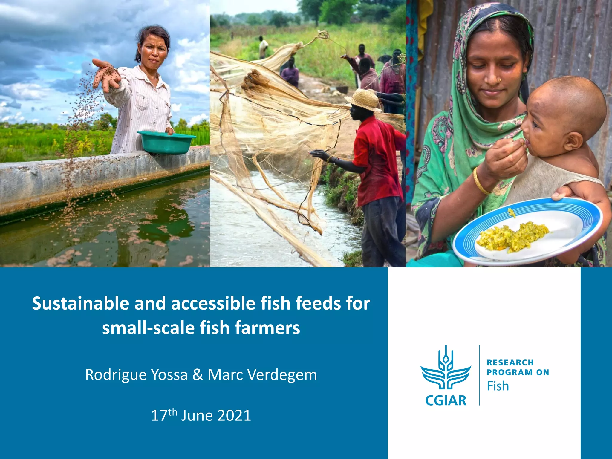Fish4Thought: Sustainable, accessible fish feeds for small-scale fish ...