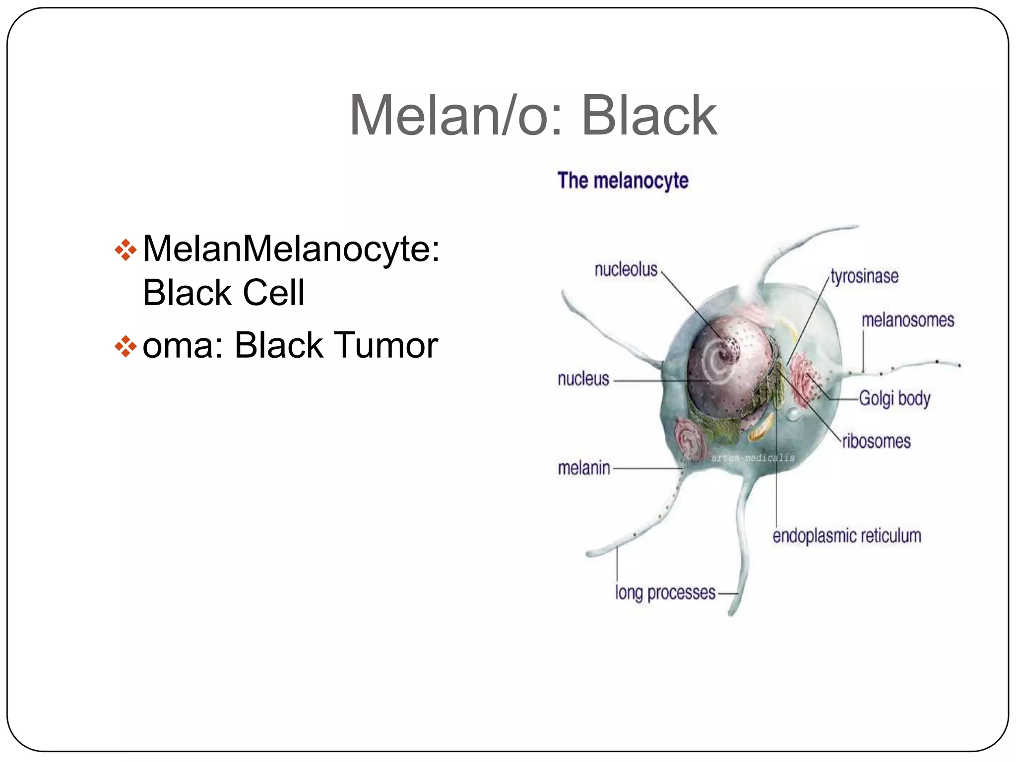 Combing forms | PPTX