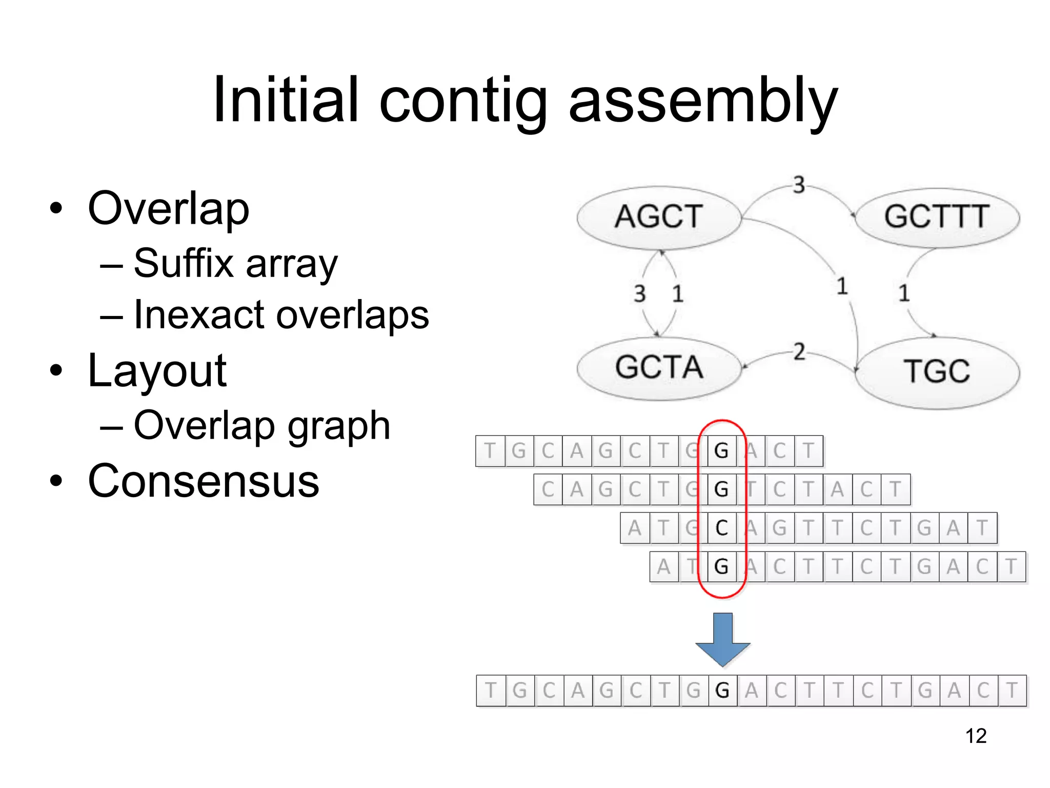 Combining de Bruijn graph, overlap graph and microassembly for de novo ...