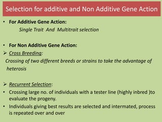 Selection for Combining ability | PPTX