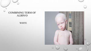 Combining form presentation | PPTX