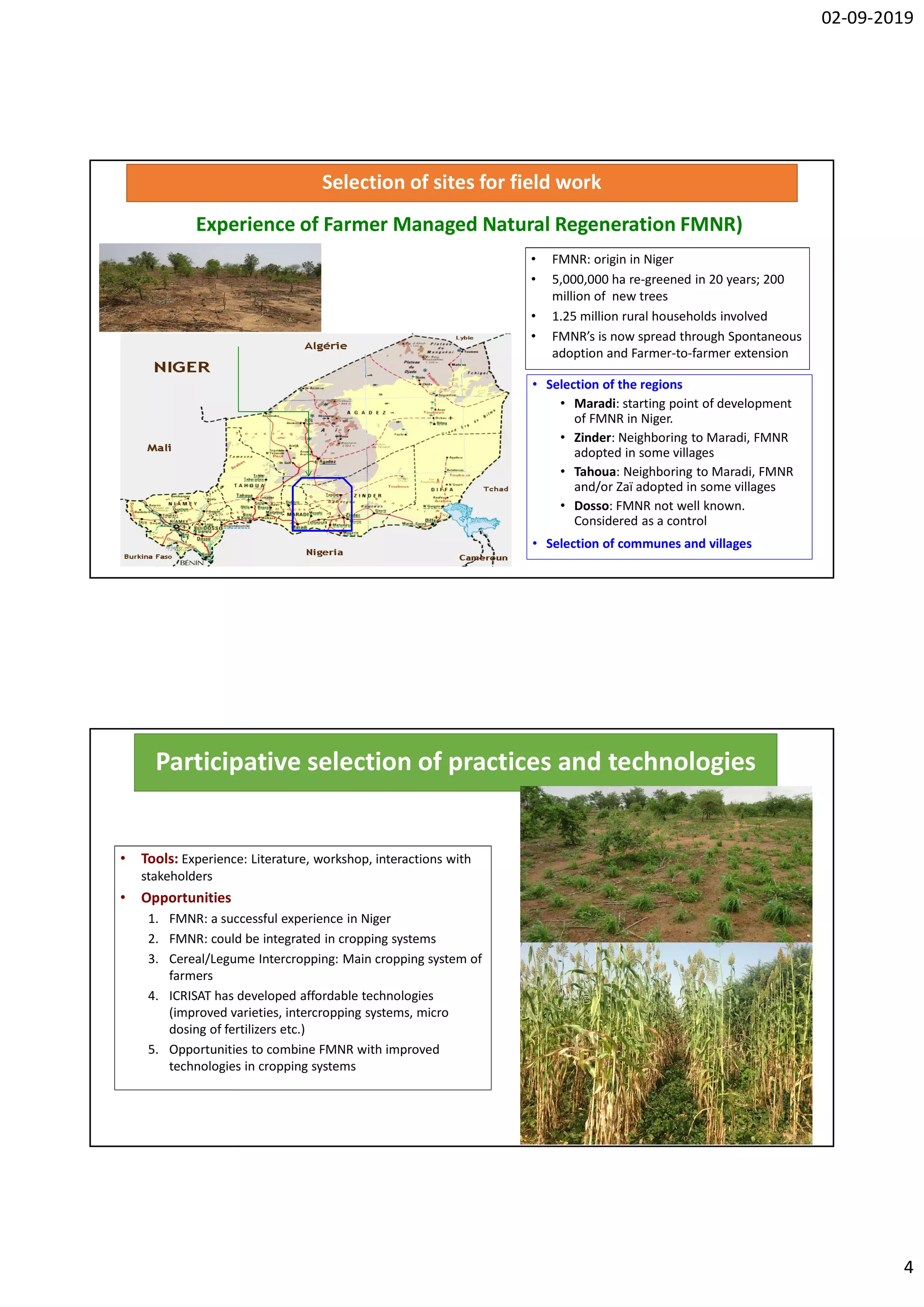 Combining land restoration and livelihoods - examples from Niger | PDF