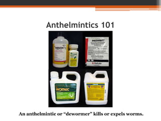 Combination Anthelmintics (Dewormers) | PPTX