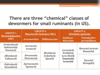 Combination Anthelmintics (Dewormers) | PPT