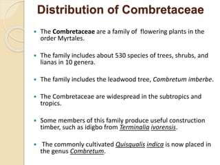 Combretaceae | PPTX