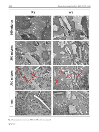 Combustion and mass loss behavior and characteristics of a single ...