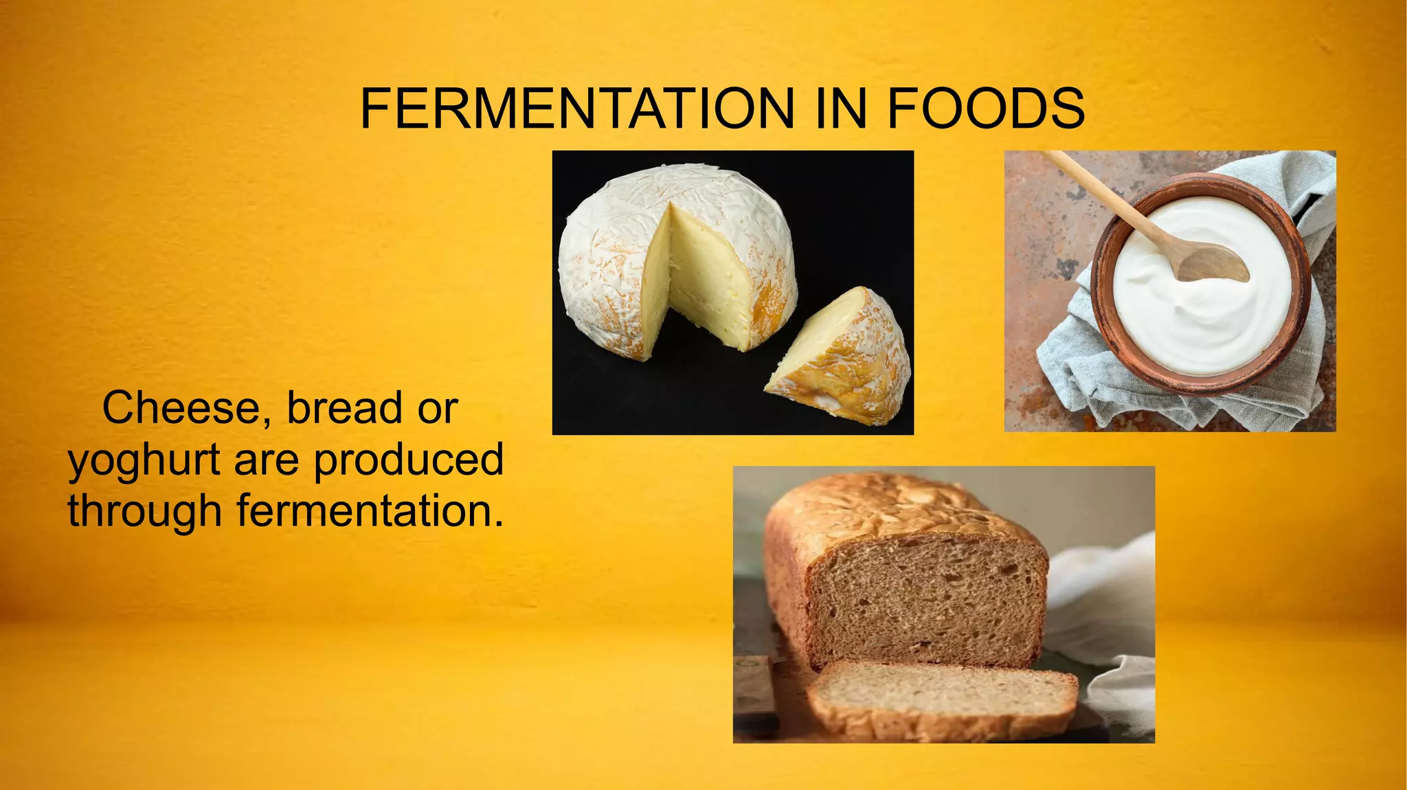Combustion, oxidation and fermentation | PDF | Chemistry | Science