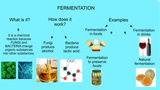 Combustion, oxidation and fermentation | PDF