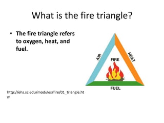 Combustion Reaction Power Point | PPTX