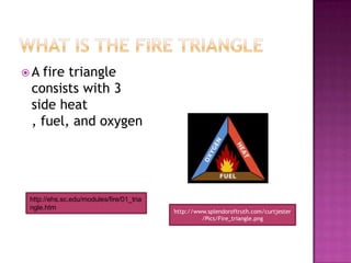 Combustion Reactions Power P Oint | PPTX