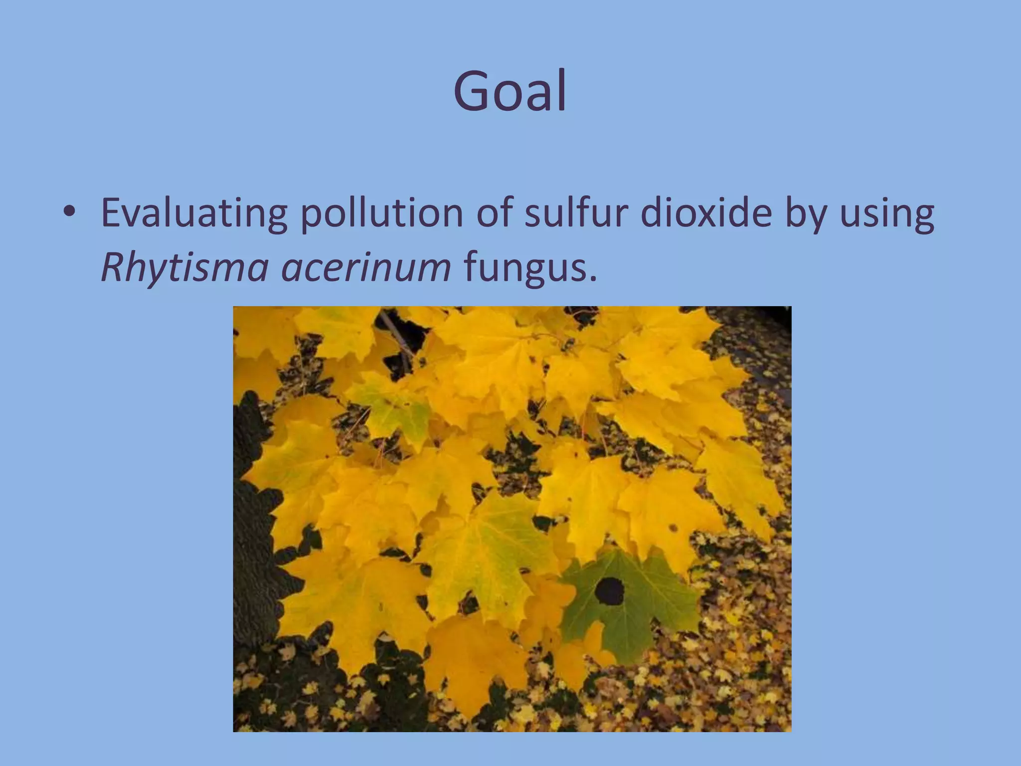 Comenius lithuania-pollution-of-environment | PPTX