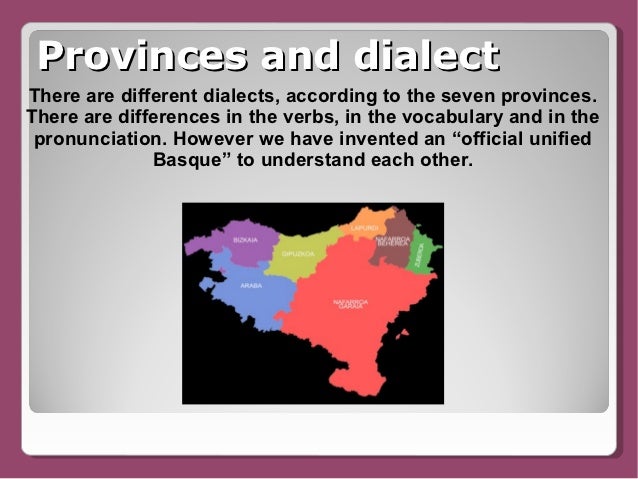 The Basque Language