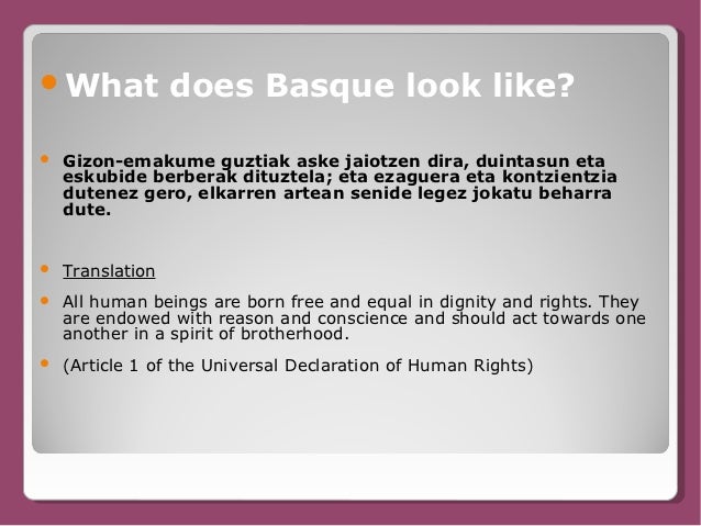 The Basque Language