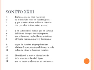 Comentario del soneto xxiii | PPT