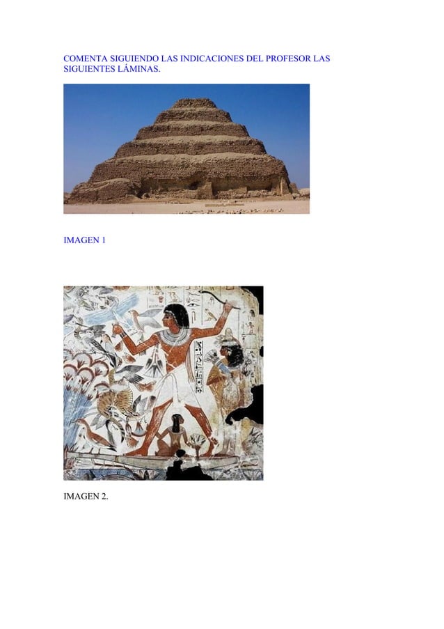 Comenta Siguiendo Las Indicaciones Del Profesor Las Siguientes LáMinas ...