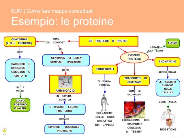 Come Realizzare Mappe Concettuali