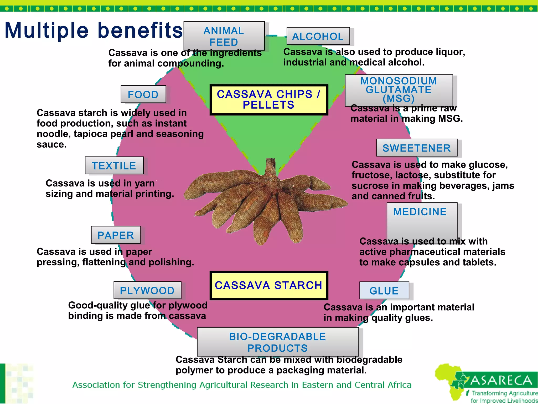 Cassava Seed Multiplication and Distribution of Improved New Varieties ...