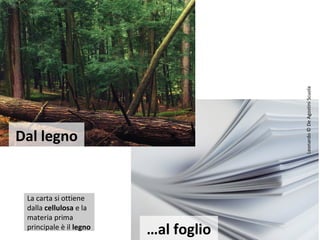 Come si realizza un foglio | PPT | Woodworking | Arts and Crafts