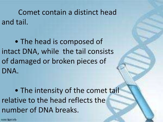 Comet assay | PPTX | Chemistry | Science