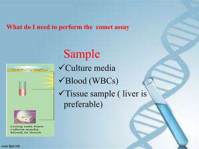 Comet assay | PPTX | Chemistry | Science