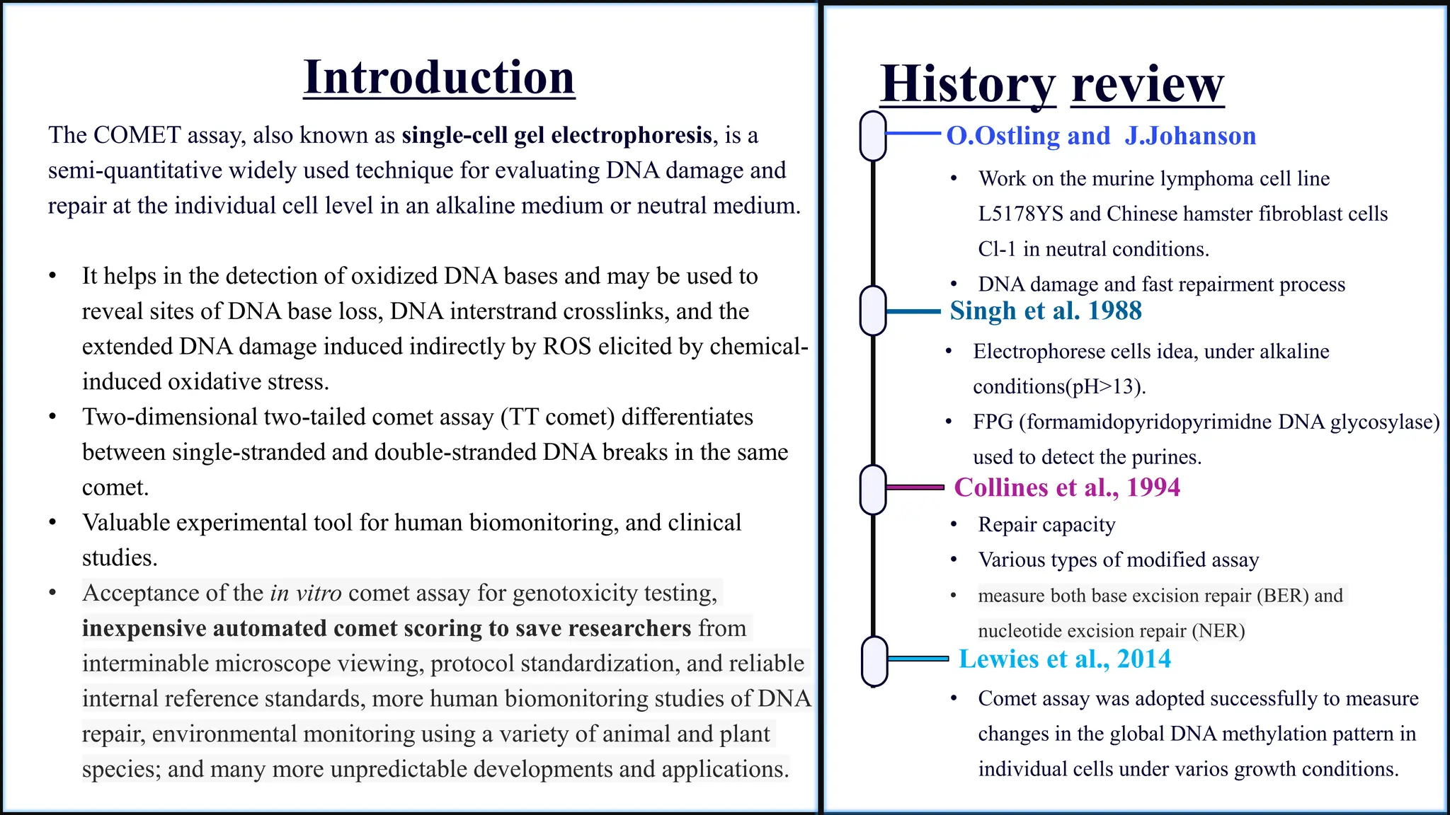 COMET assay for detection of DNA viability | PPTX