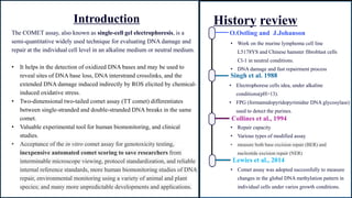 COMET assay for detection of DNA viability | PPTX