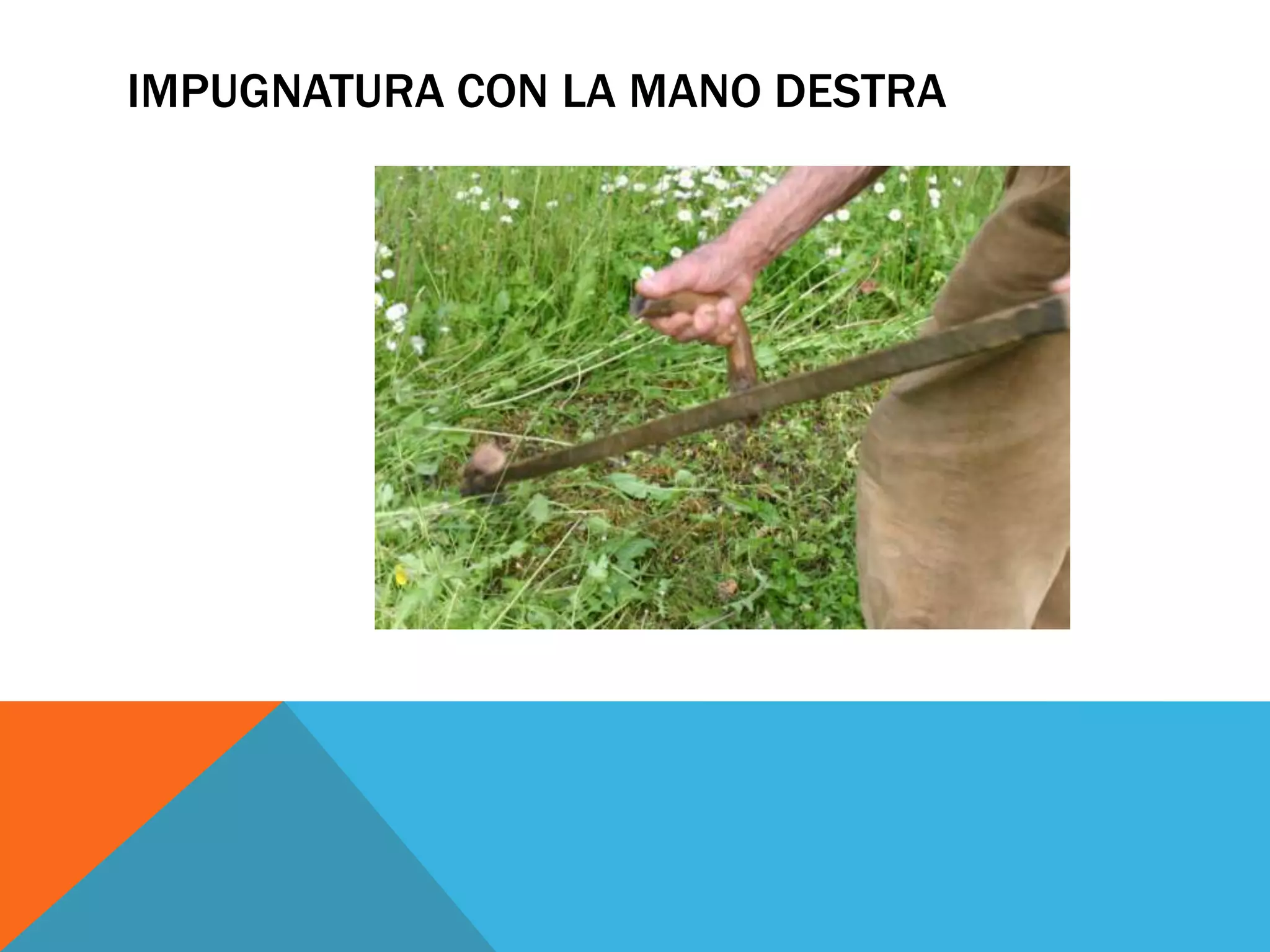 Come usare la falce | PPTX