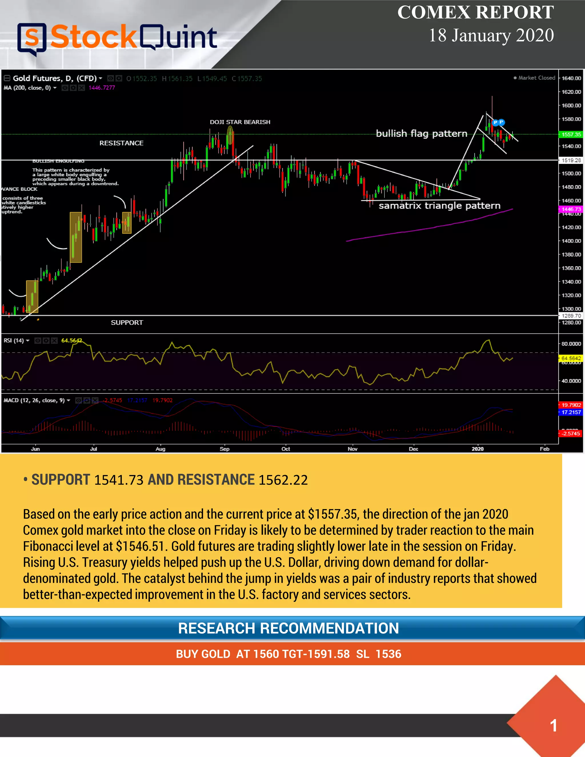 Comex report | PDF
