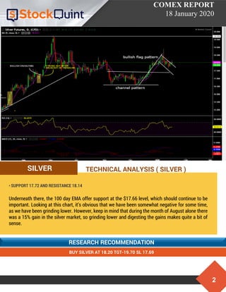 Comex report | PDF