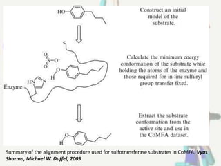 CoMFA CoMFA Comparative Molecular Field Analysis) | PPTX