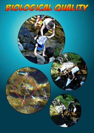 River project comin | PDF