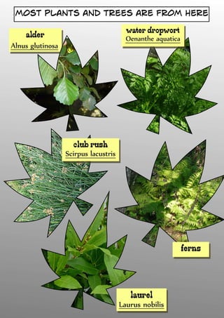 River project comin | PDF