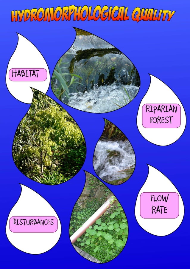 River project comin | PDF