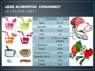 Comidas, cosas de una casas, colores en tsotsil.b | PPTX
