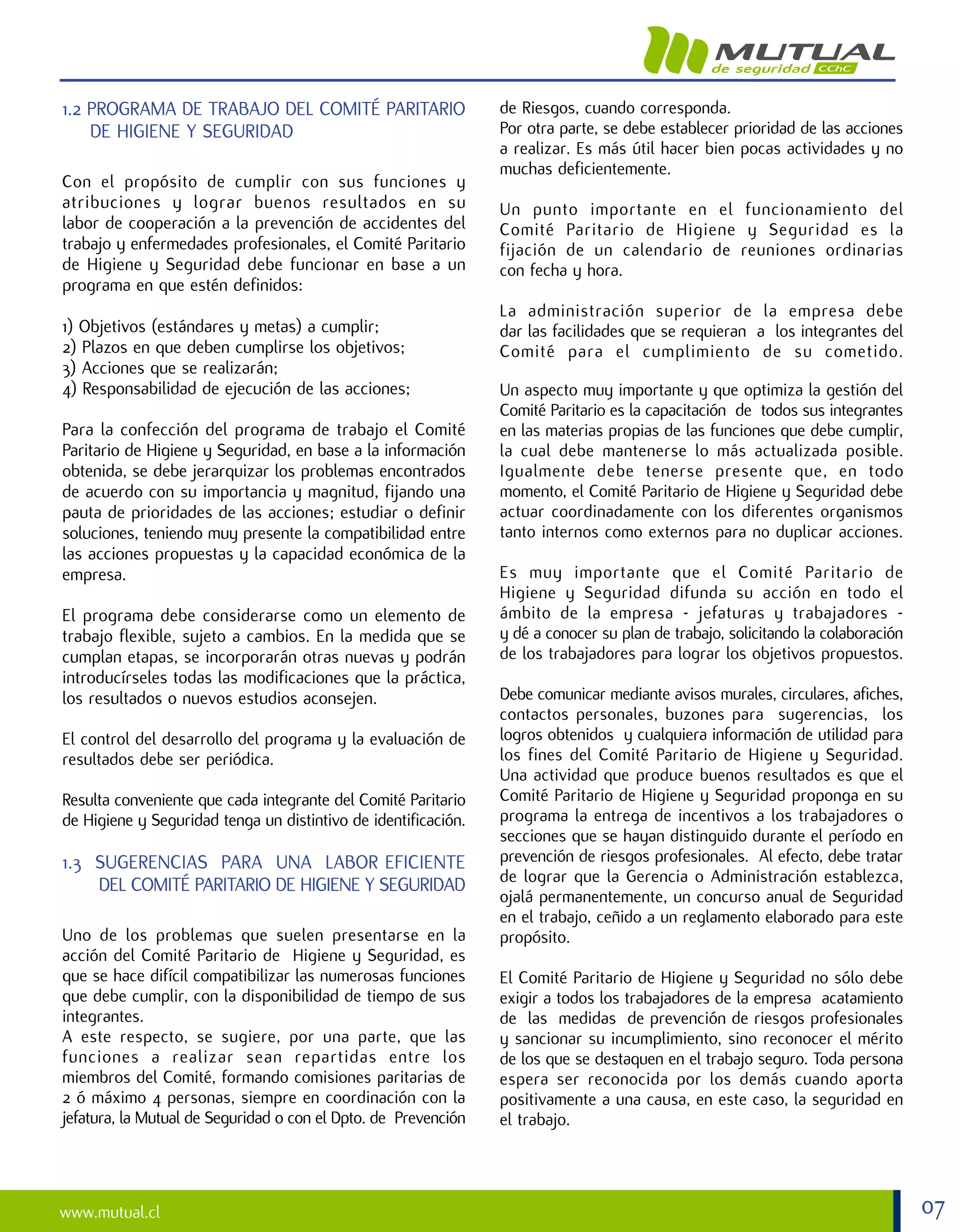 Comite paritario | PDF