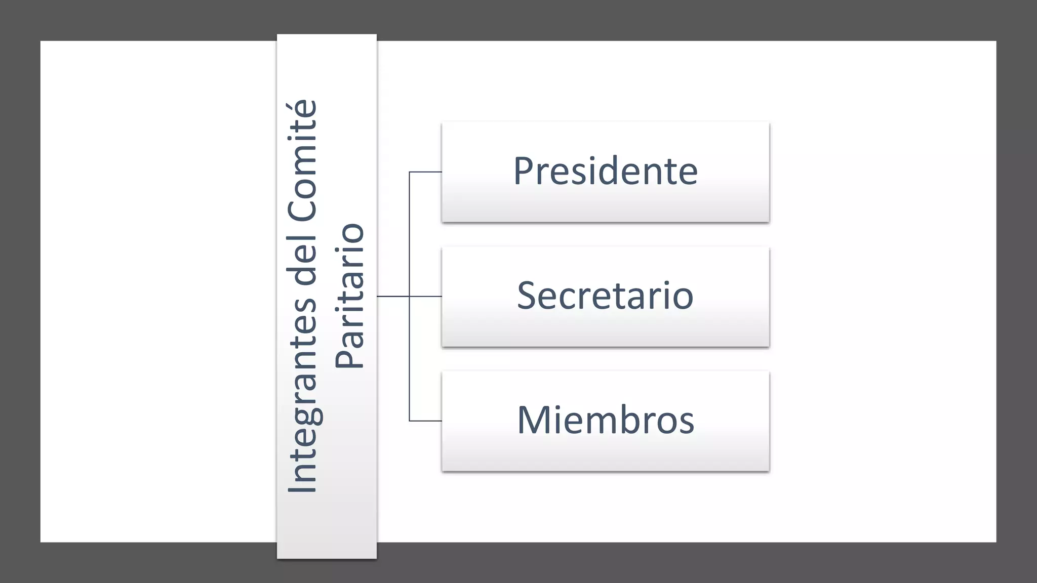 COMITE PARITARIO PPV.pptx