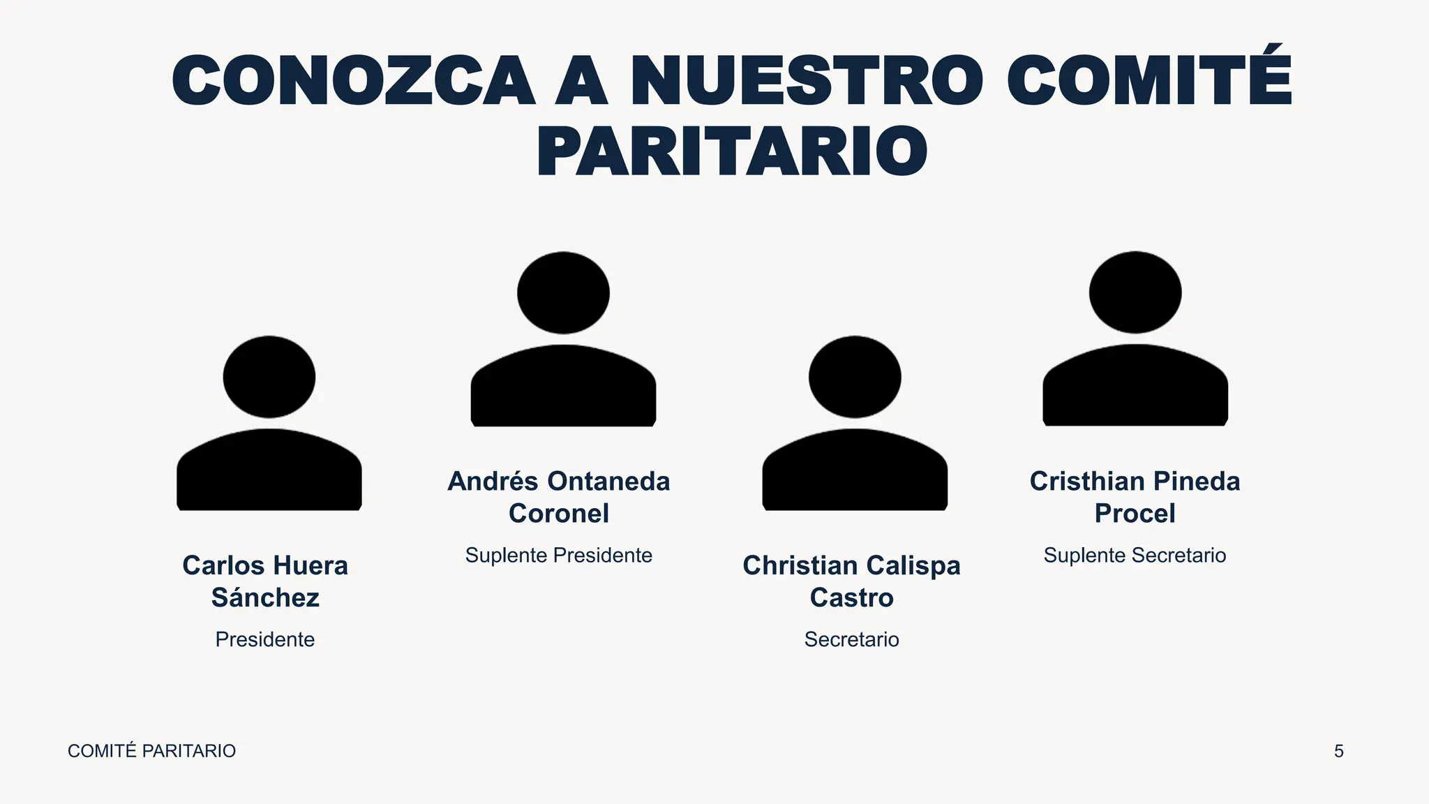 COMITÉ PARITARIO DE SEGURIDAD SALUD E HIGIENE.pptx