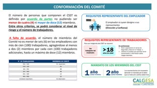 Comité, subcomité y supervisor de Seguridad y Salud en el Trabajo.pdf