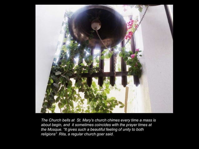 Comm 222 presentation | PPTX