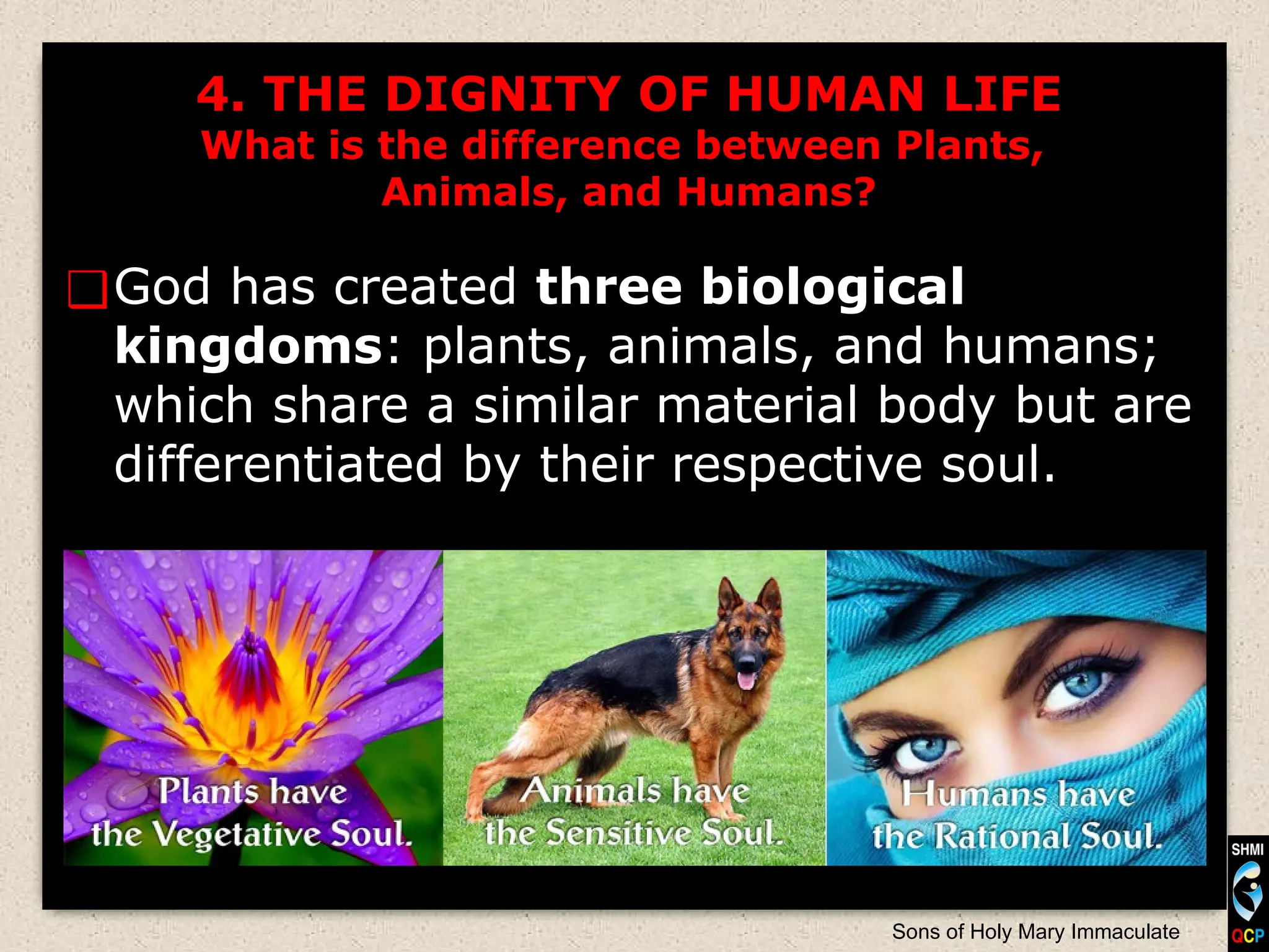 5th COMMANDMENTS IN THE TEN COMMANDMENTS | PPTX