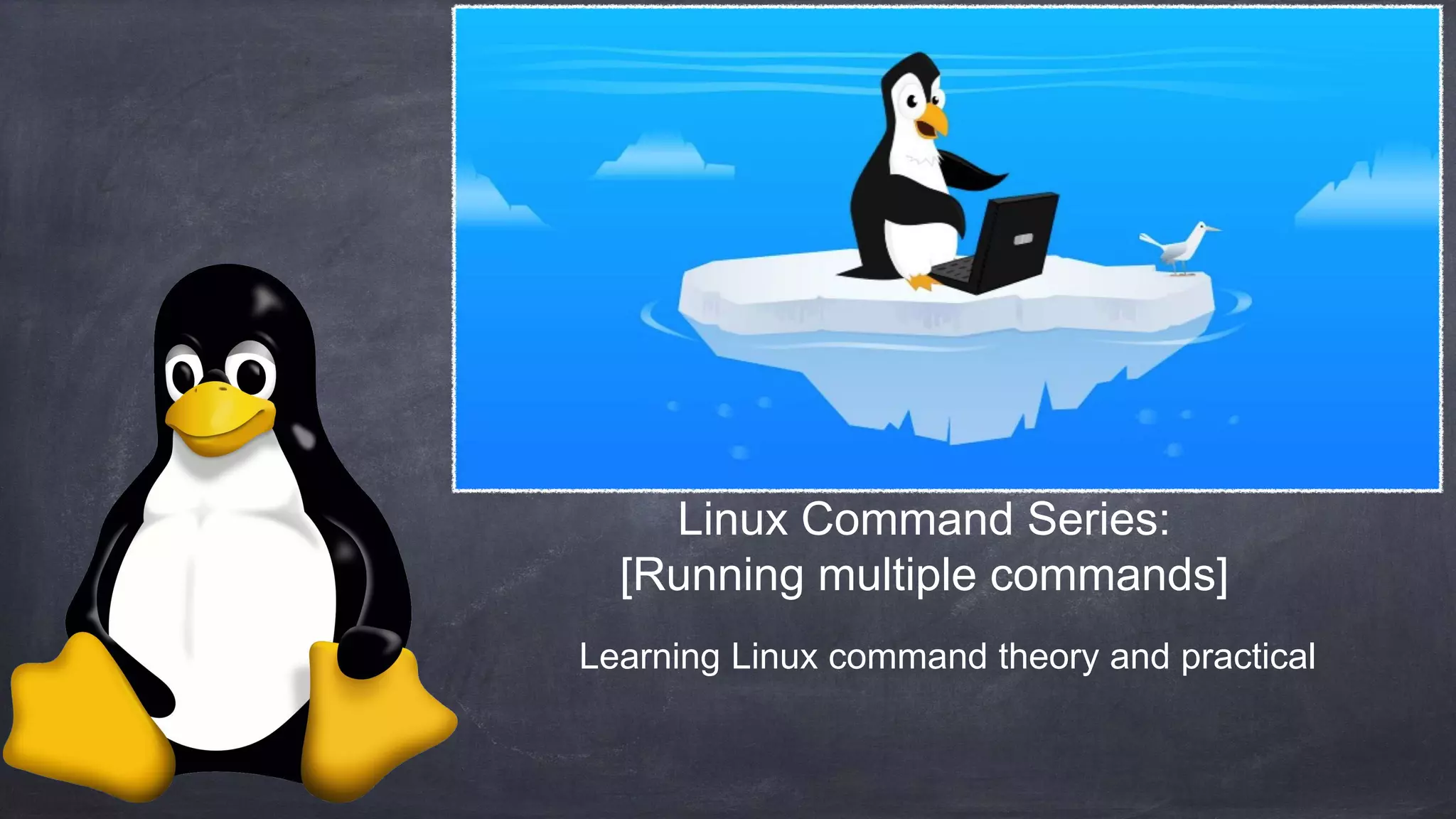 Command Seperators.pptx