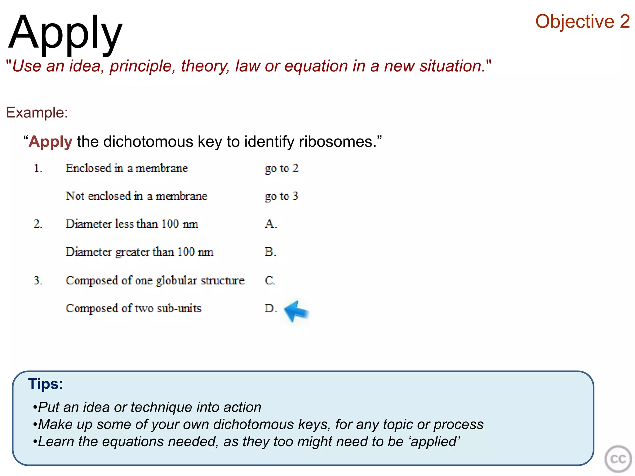 Command Terms in IB Biology | PPTX
