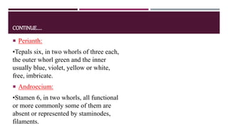 Commelinaceae family Ppt | PPTX