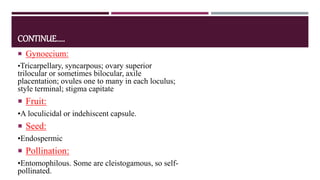 Commelinaceae family Ppt | PPTX